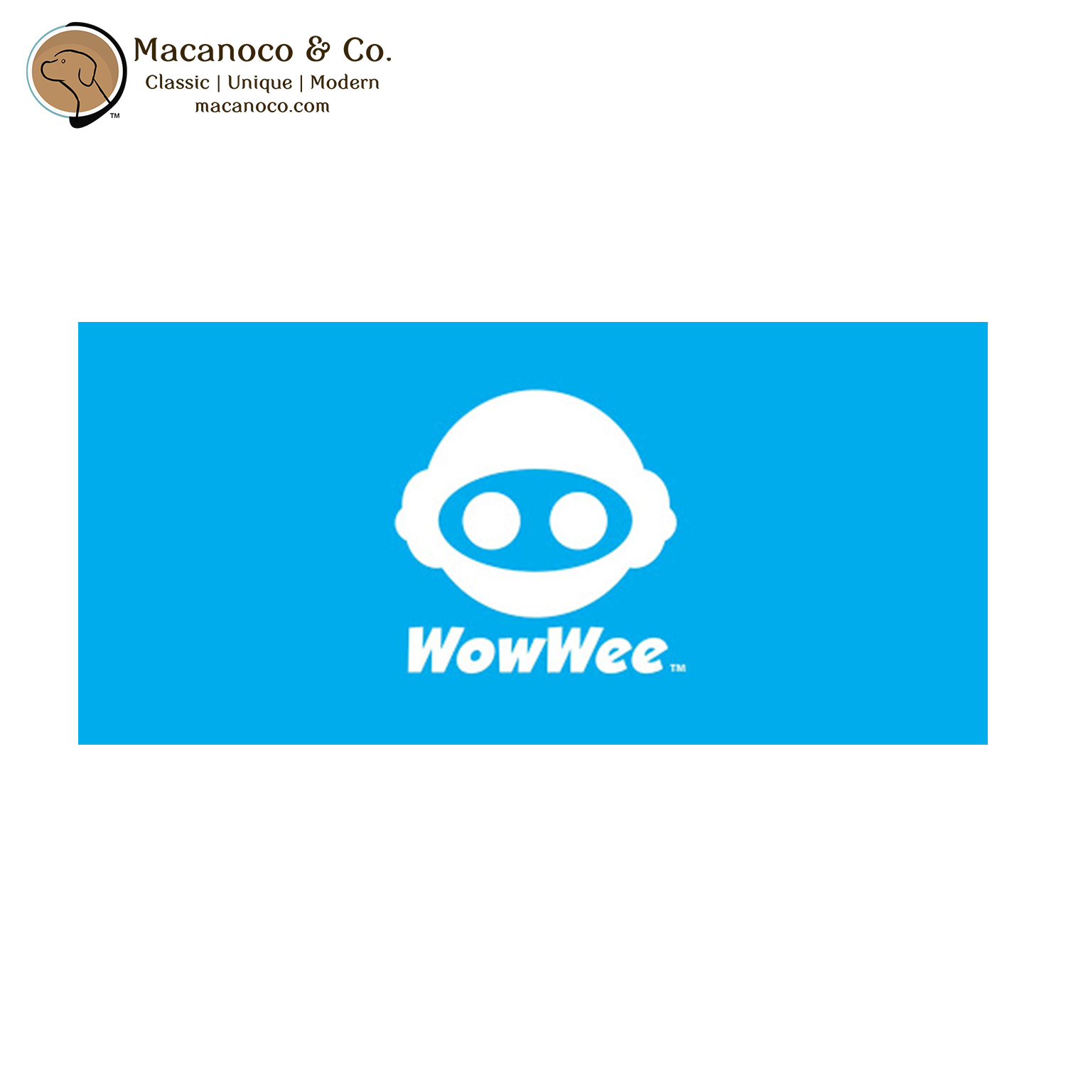 WowWee Lucky Fortune Fortune Cookie Mystery Pack BFF Series Toy ...